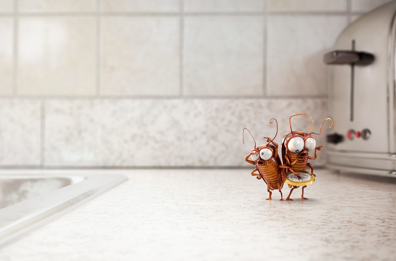 Zombie Studios – Ochurus